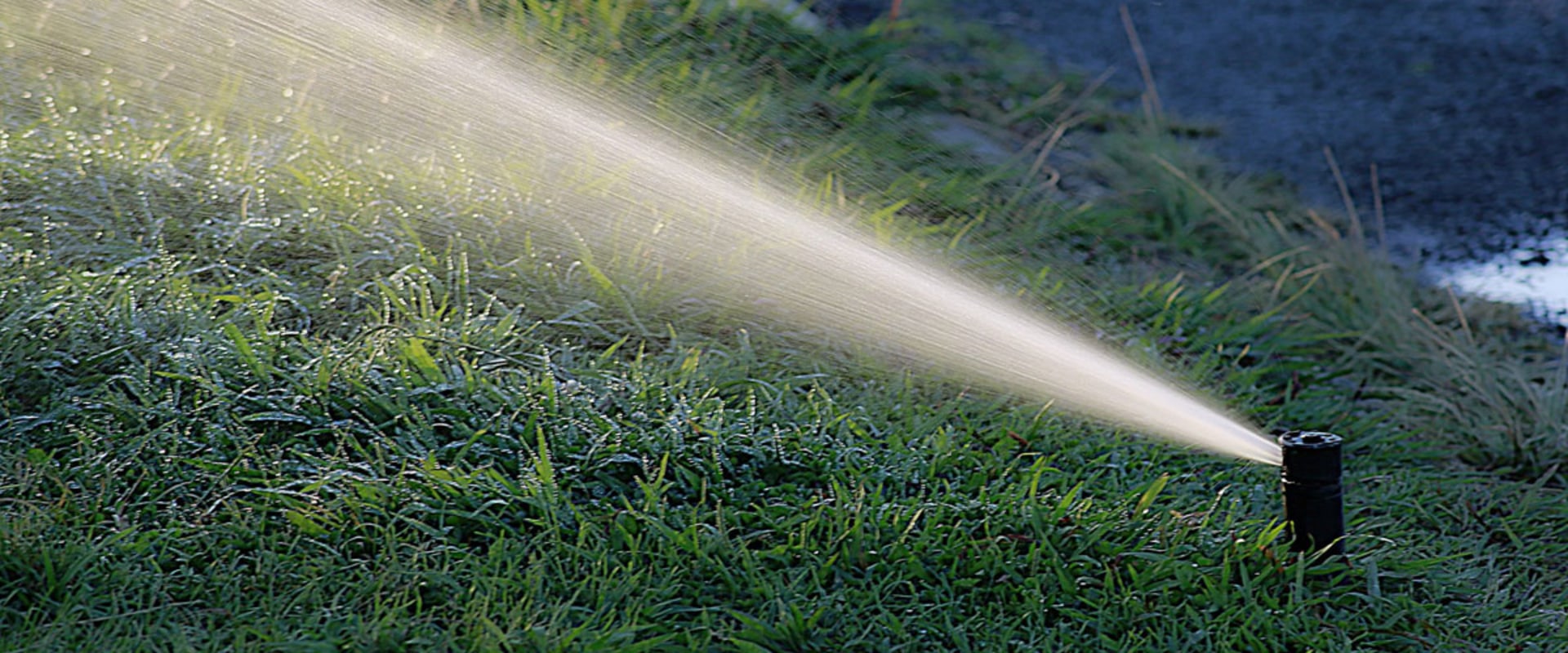 What is the Best Smart Sprinkler Controller for Your Lawn Sprinkler System?