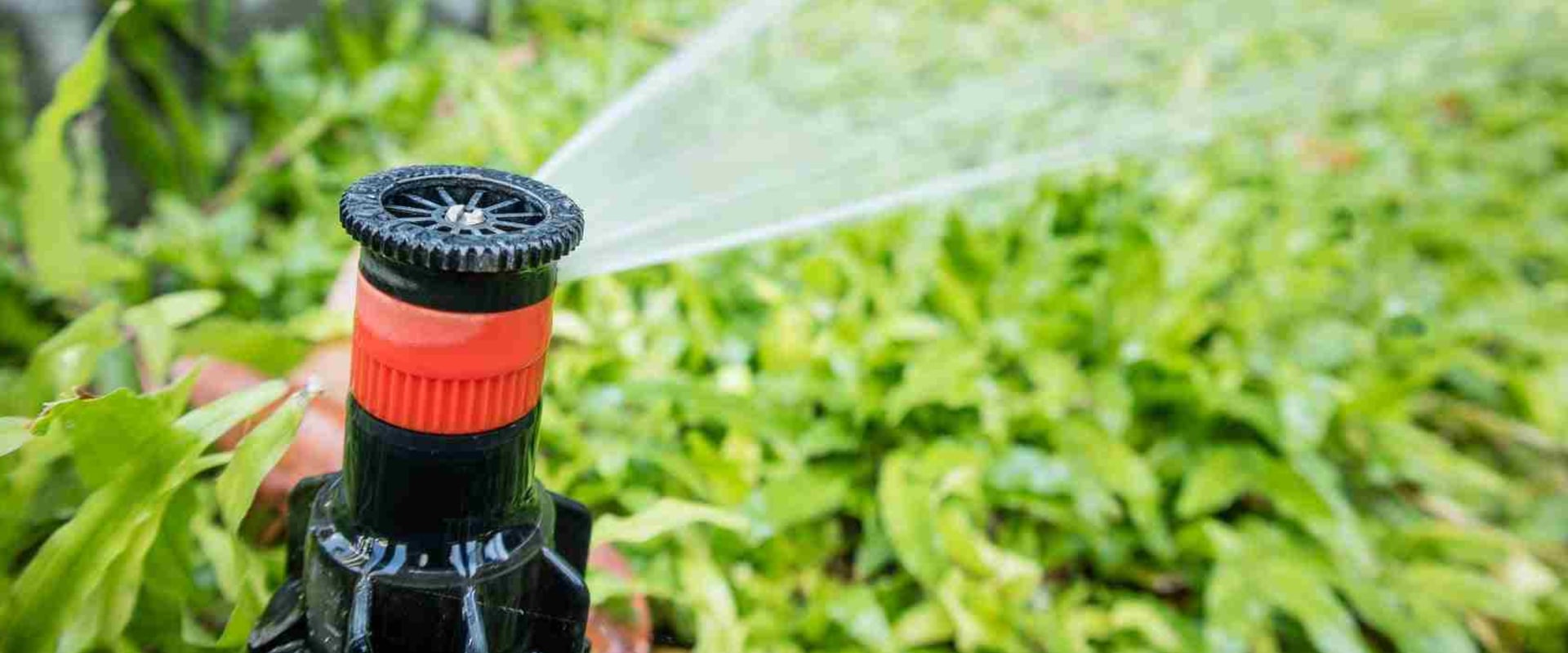 What Water Pressure Do You Need for a Lawn Sprinkler System?